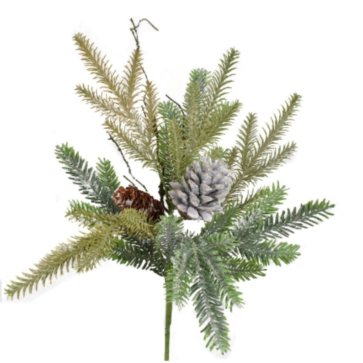 24” Canadian Blue Spruce/Cone Spray – Family Roots Nursery